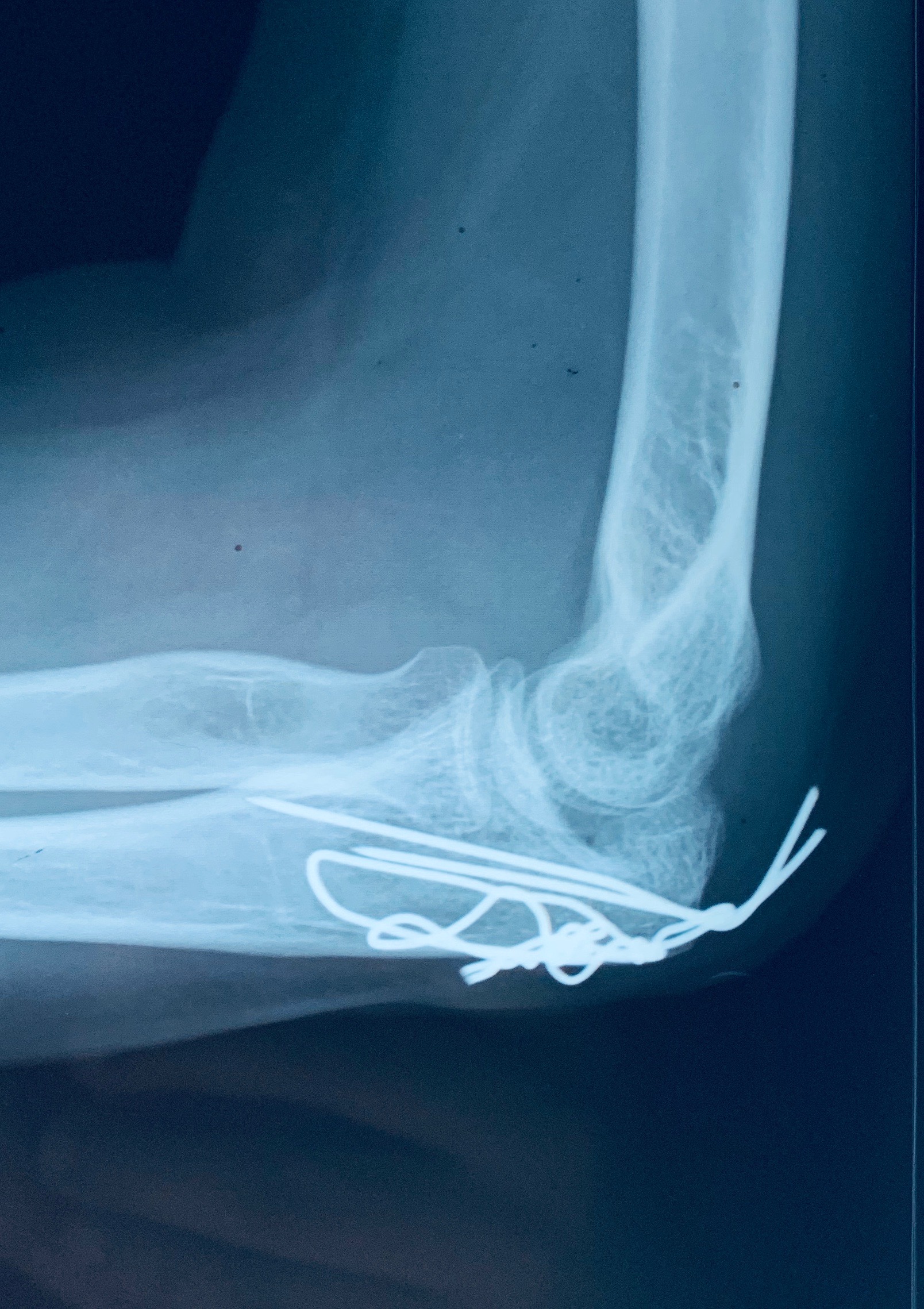 Case Study - Dr. Naba Krishna Gohain